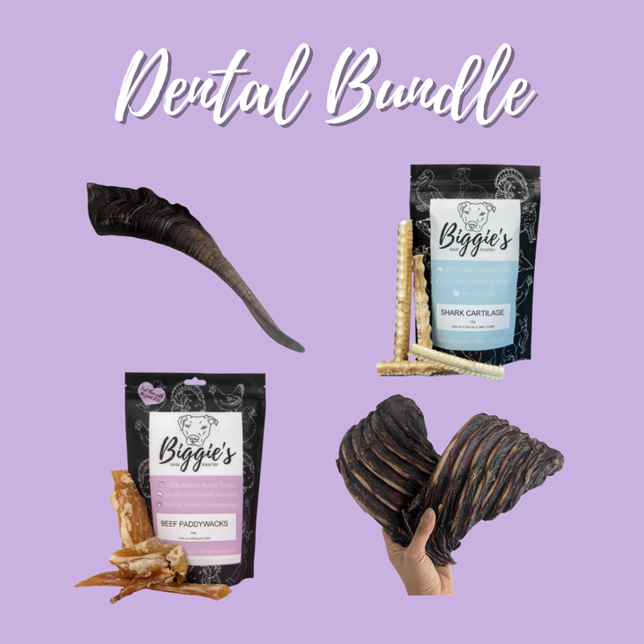 Dental Care Bundle – Biggie's Raw Pantry
