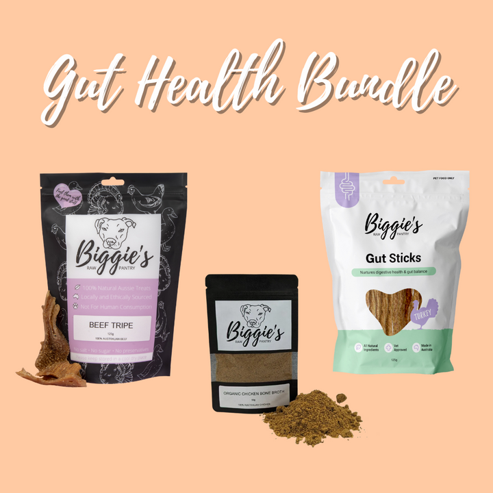 The Gut Health Bundle | Natural Digestive Support for Dogs – Biggie's ...
