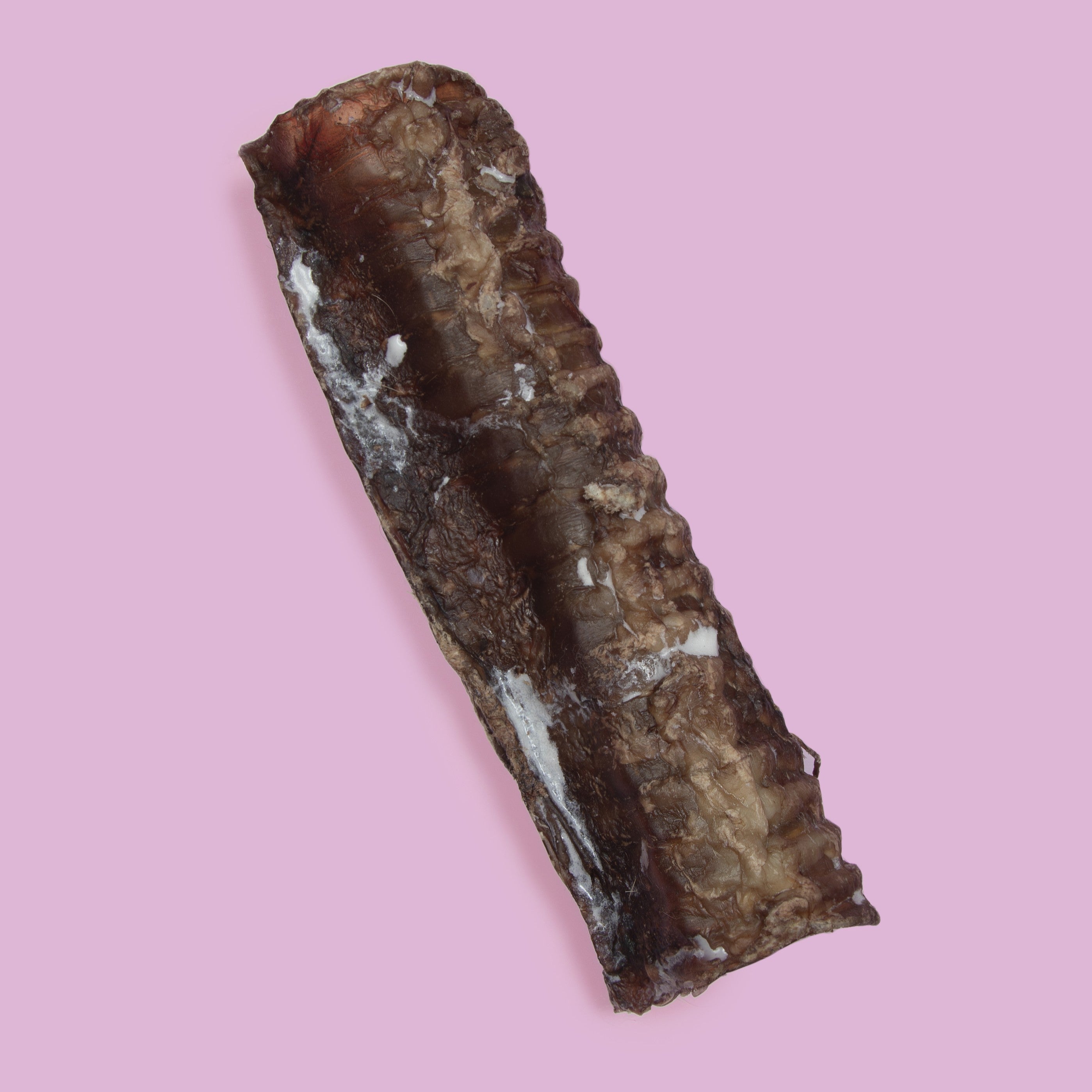 Beef Trachea (Moo Tube) Dog Chew – Joint Health, Dental & Enrichment ...