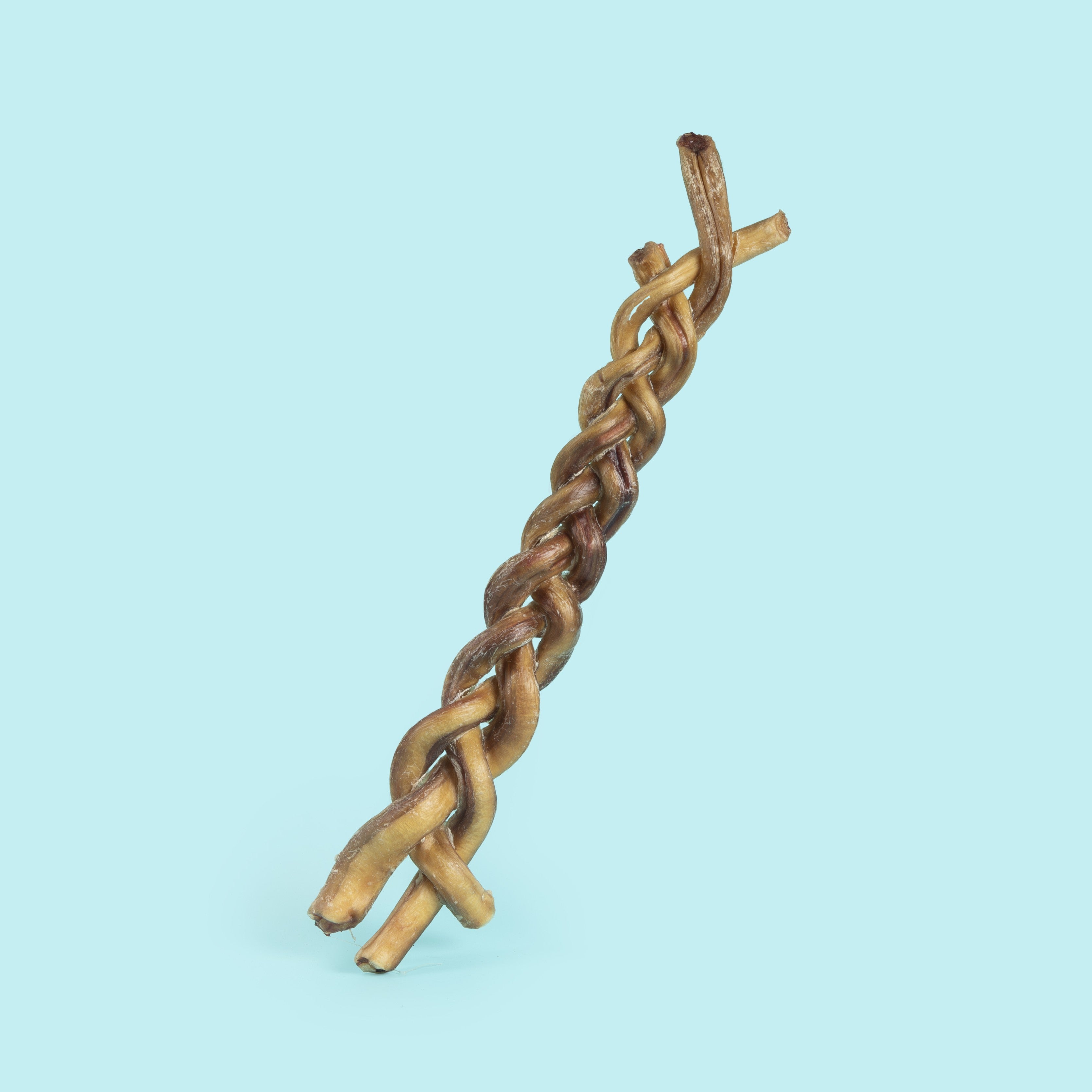 Braided Beef Pizzle Dog Chew - Long Lasting, High Protein Bully Stick ...