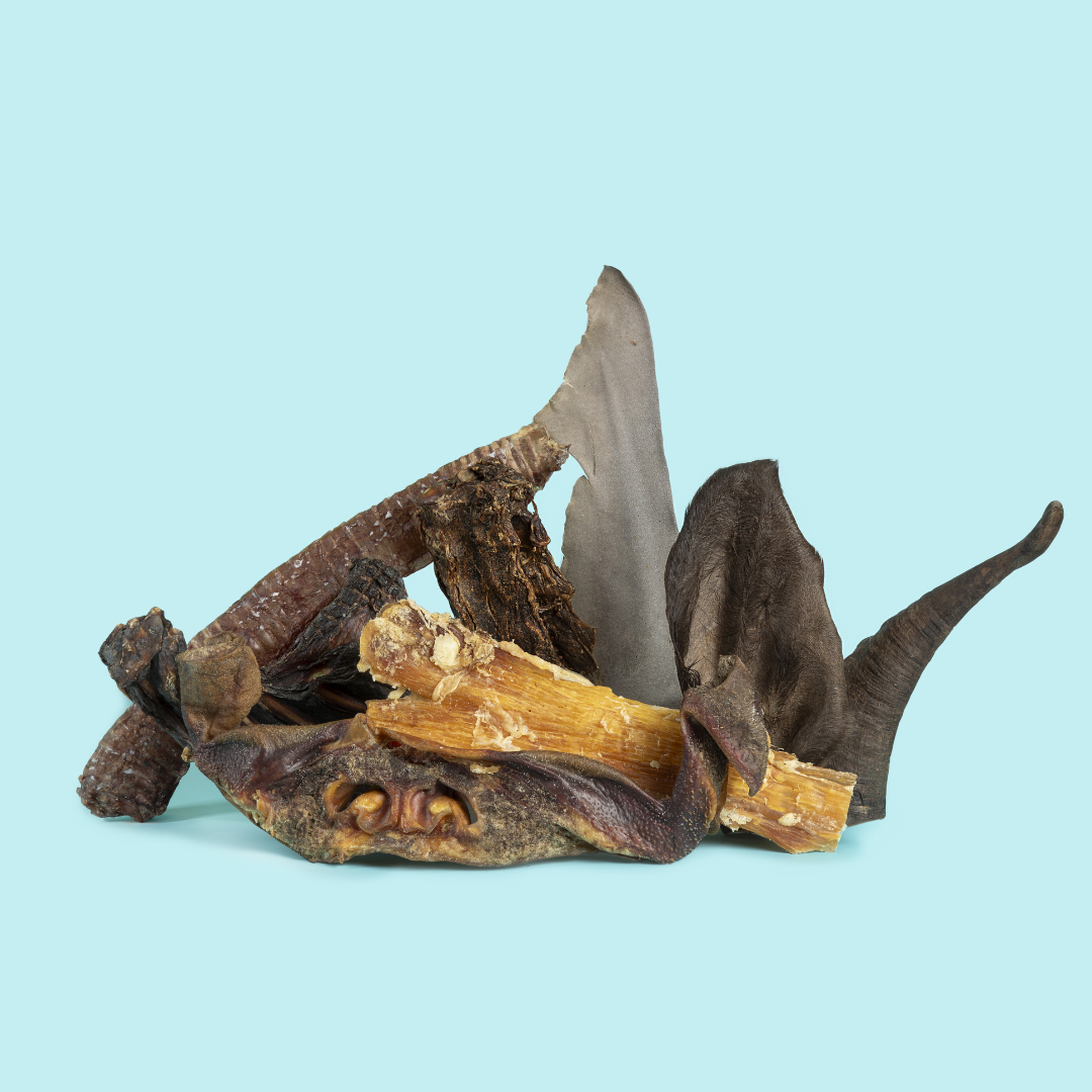 Large Dog Chew Bundle - Long Lasting Natural Chews for Dental & Jaw ...